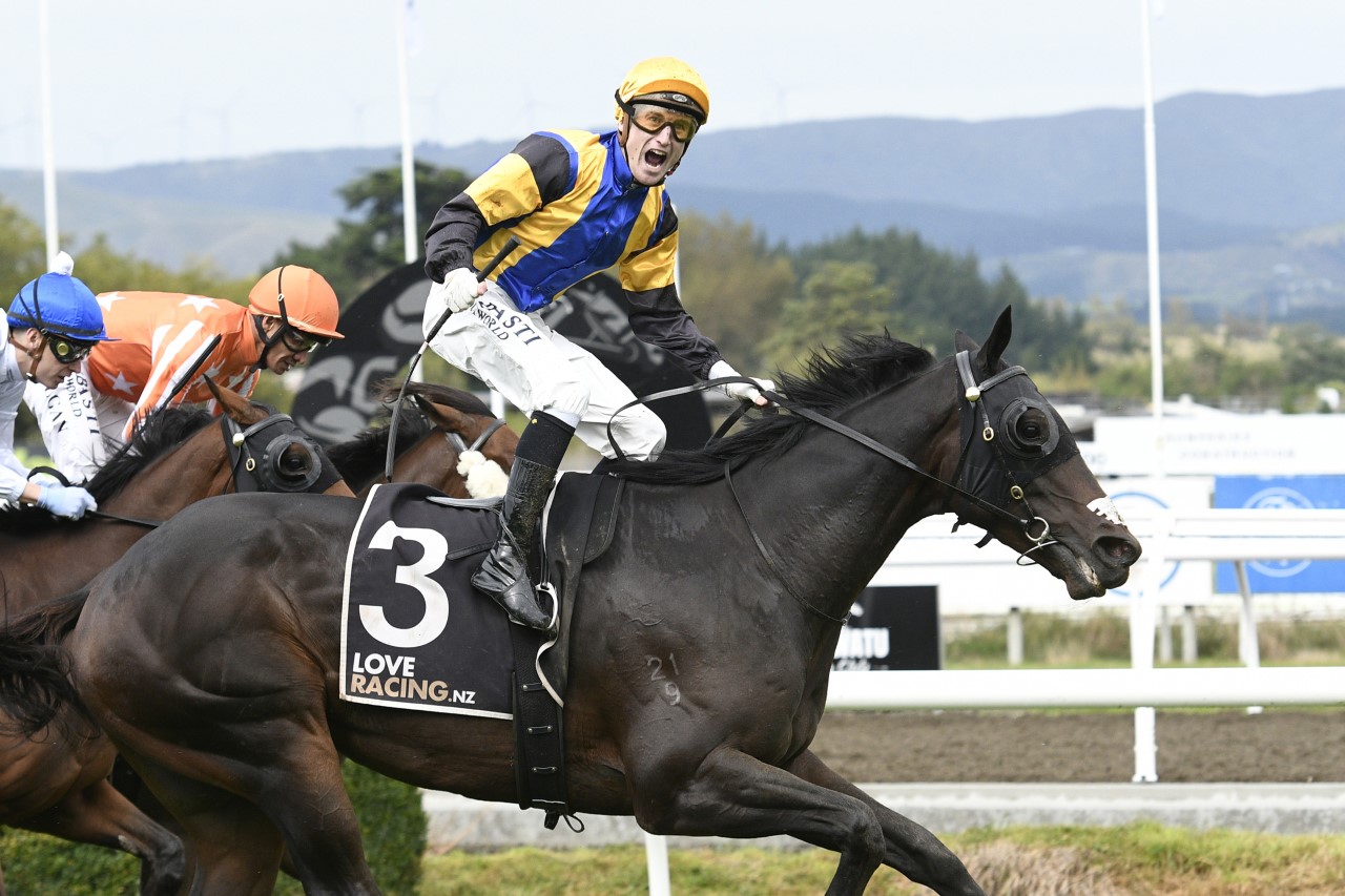 Bold effort will bring Derby into play for Arby - Raptors Thoroughbred
