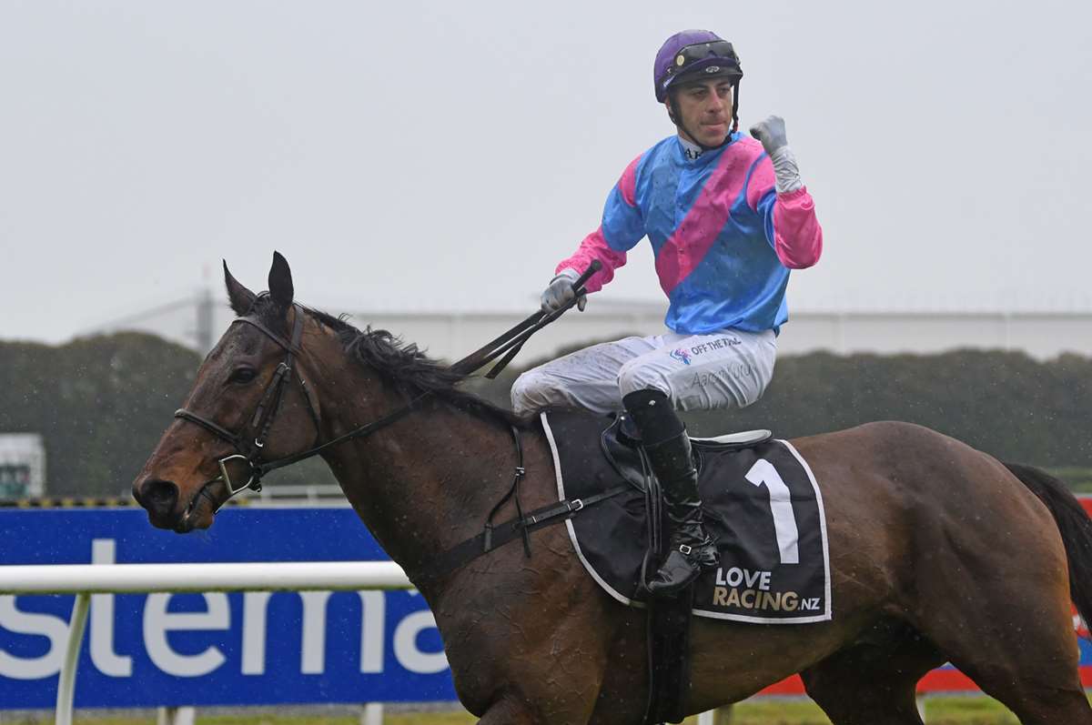 The Cossack reigns supreme at Te Rapa - Raptors Thoroughbred