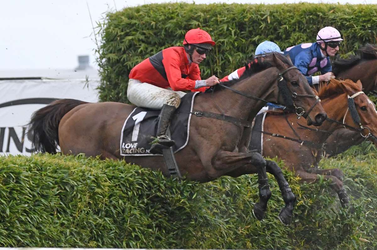 Hastings pair primed for Te Rapa tests - Raptors Thoroughbred