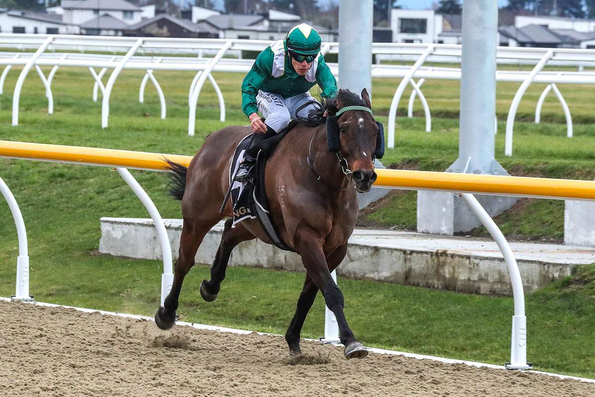 Thistoll pair set to strike at Riccarton - Raptors Thoroughbred