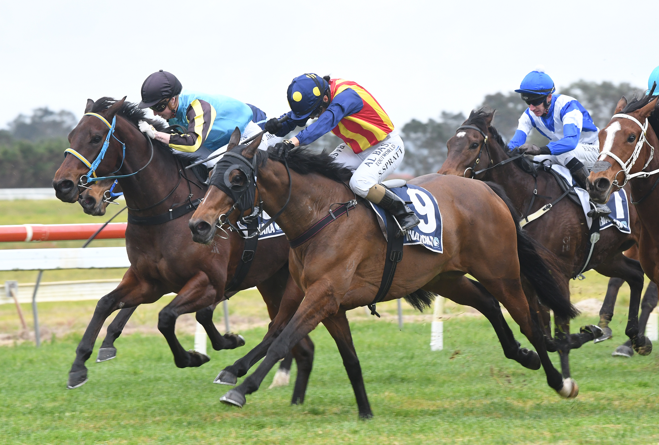 Fahy gets Flying start to training ranks - Raptors Thoroughbred