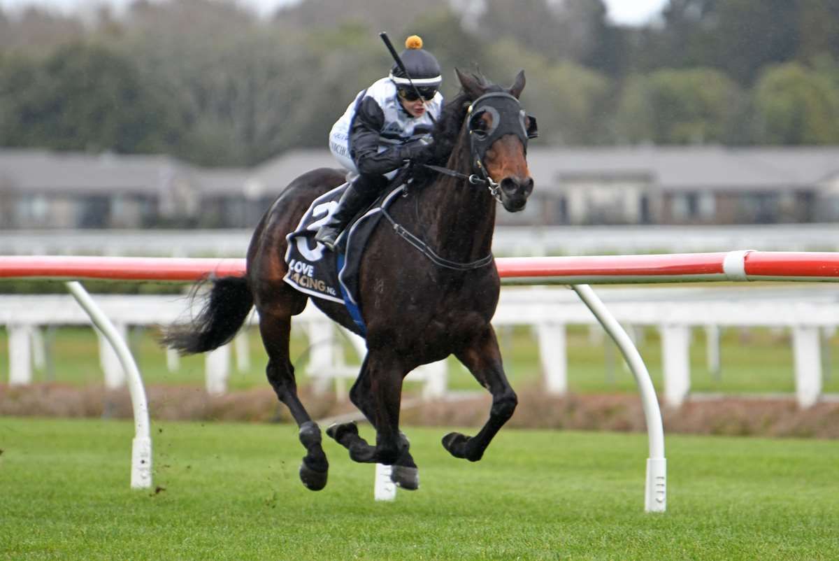 Te Rapa specialist turning heads for Forsman - Raptors Thoroughbred
