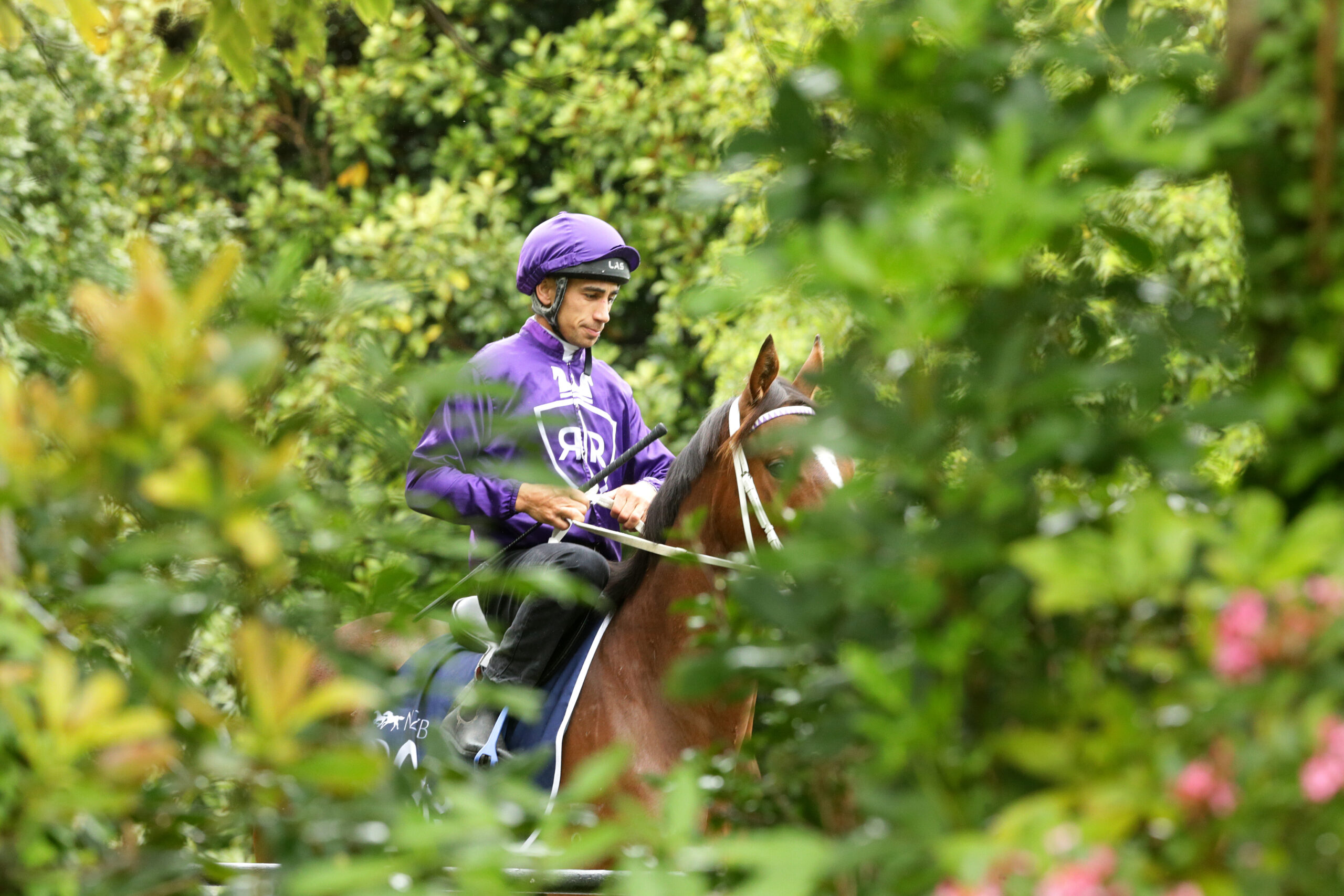 Experience to stand Fonsi in good stead - Raptors Thoroughbred