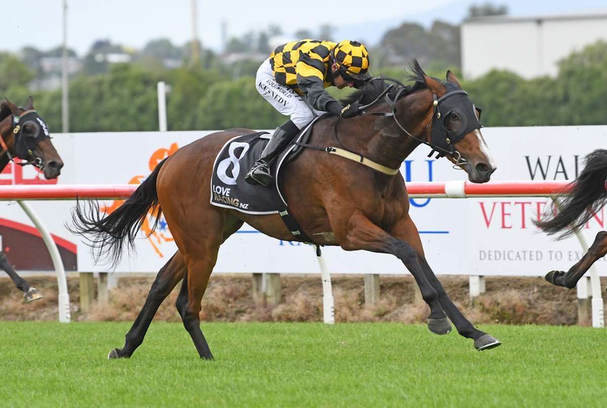 Snazzytavi tops rivals in dominant Te Rapa display - Raptors Thoroughbred