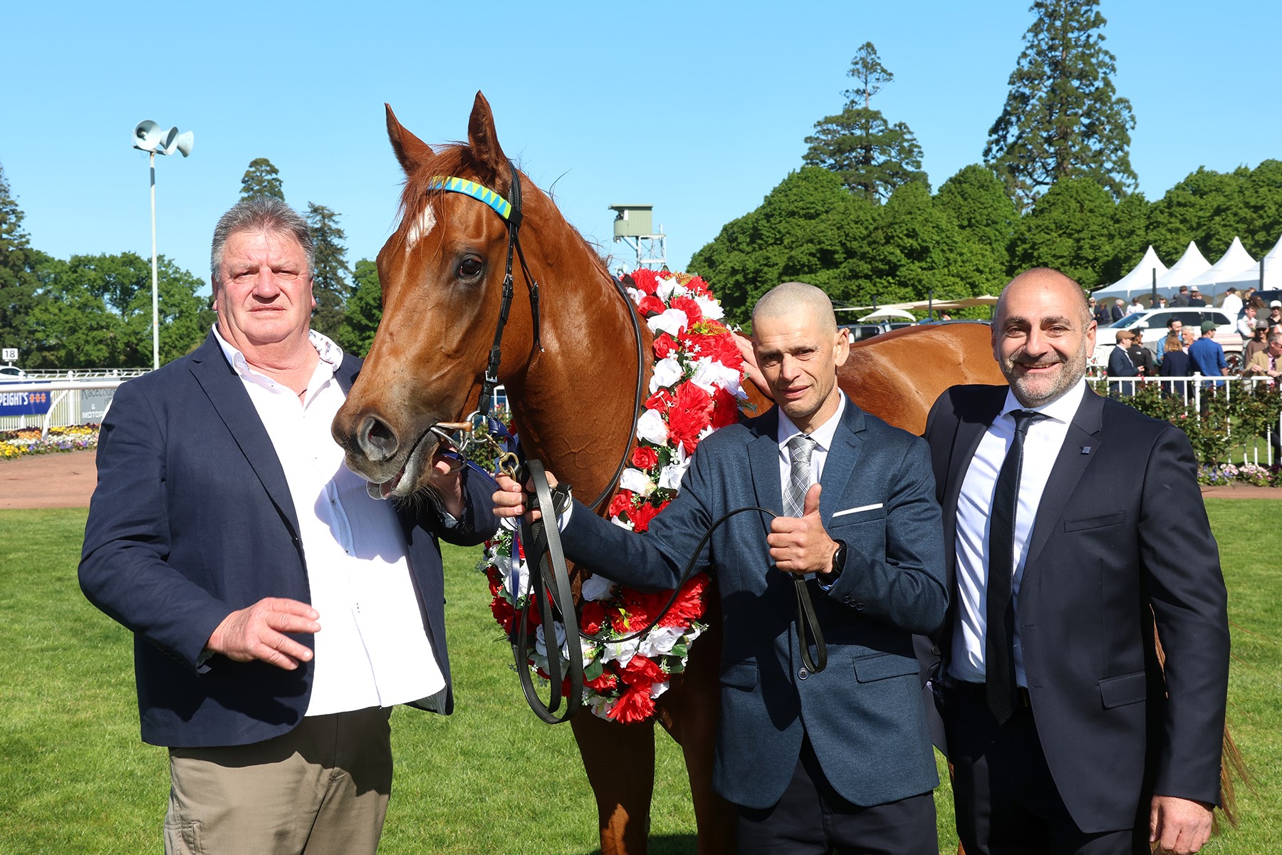Crocetti heads for a spell - Raptors Thoroughbred