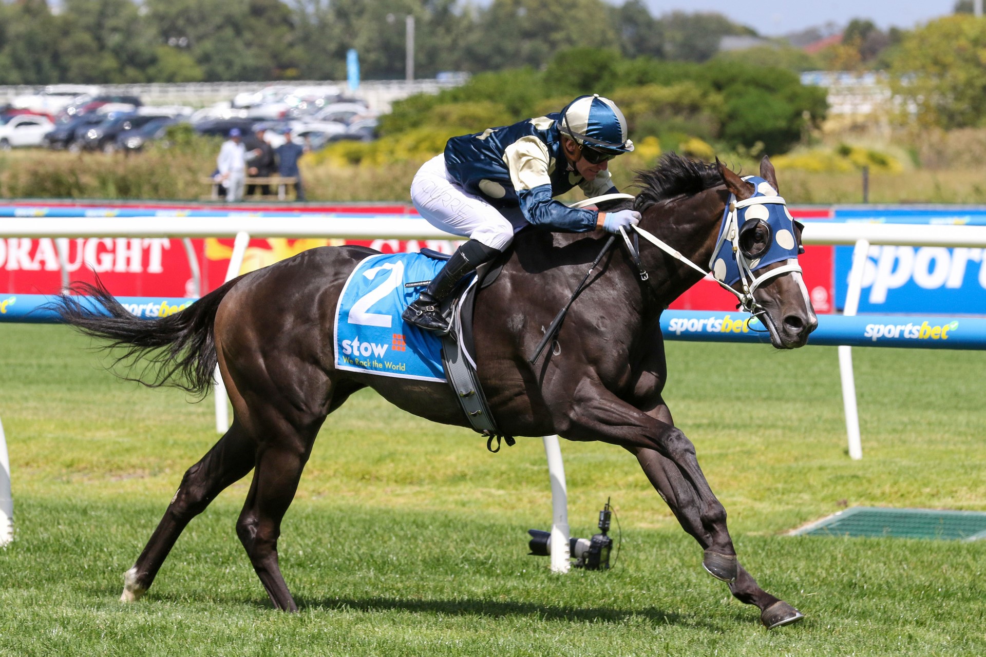 Sydney features on horizon for unbeaten Immediacy - Raptors Thoroughbred