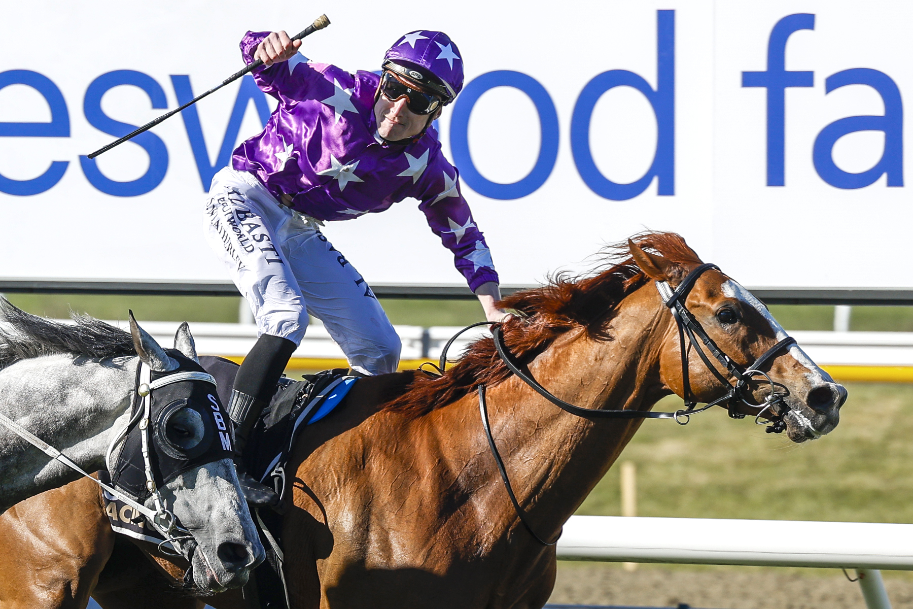 Dream start beckons new alliance at Ellerslie - Raptors Thoroughbred