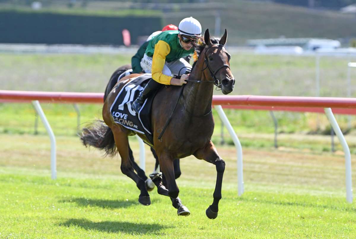 Irish Legacy to continue stellar three-year-old run for Kingsclere ...