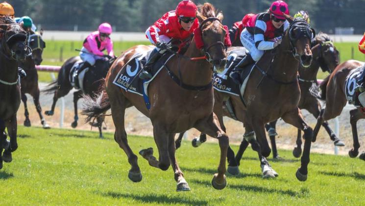 Pitmans looking to summit Southern Alps - Raptors Thoroughbred