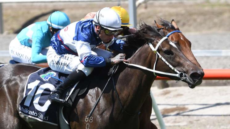 Marsh takes two shots at Pearl Series Final - Raptors Thoroughbred