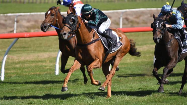 McCarthy duo on song for Te Rapa - Raptors Thoroughbred