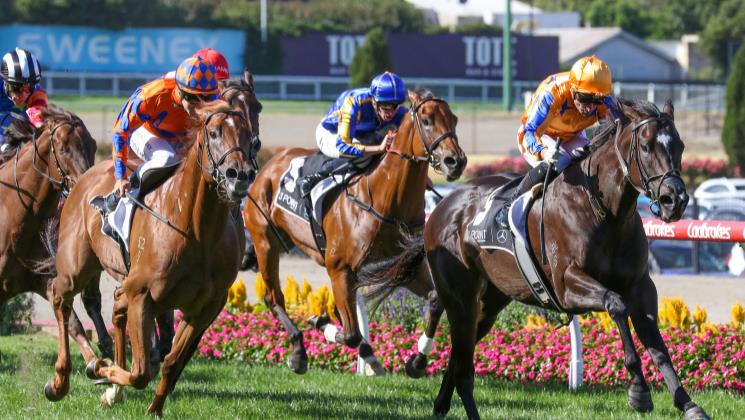 Te Akau to continue trans-Tasman momentum - Raptors Thoroughbred