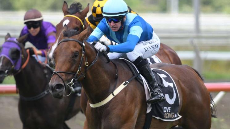 Nakhle duo primed for Te Rapa assignments - Raptors Thoroughbred