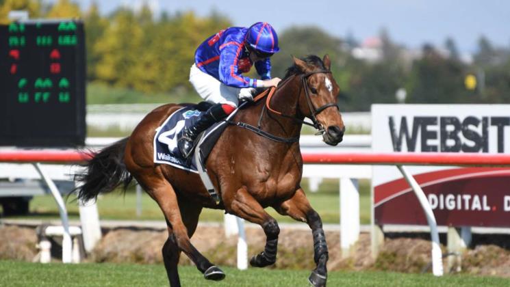 Jockey dilemma for English Gambler - Raptors Thoroughbred