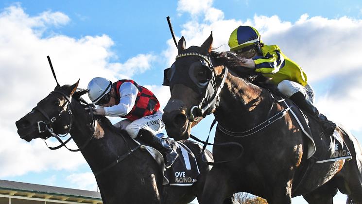 Williams celebrates domestic success during Kentucky tour - Raptors ...