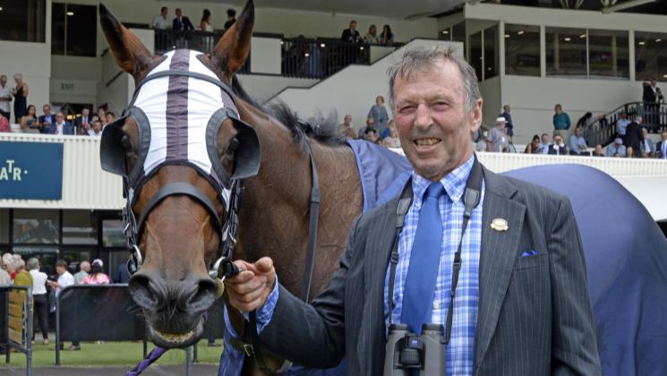 Belclare coming out of racing retirement - Raptors Thoroughbred