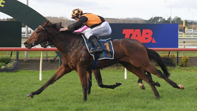 Little Bit Of Love completes Wexford’s trans-Tasman double - Raptors ...