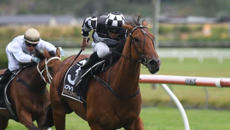 Murdochs heading north with talented sprinter - Raptors Thoroughbred