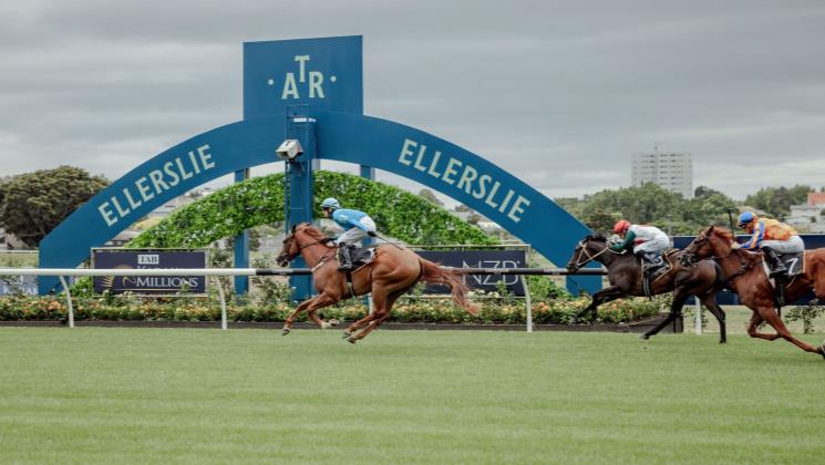 Ellerslie passes first test following remedial work - Raptors Thoroughbred