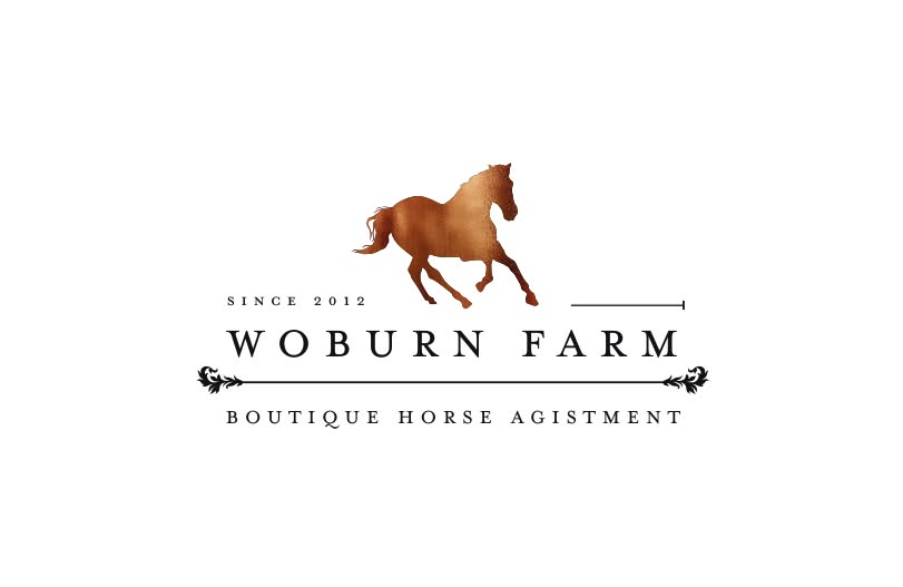 Woburn Farm - Raptors Thoroughbred